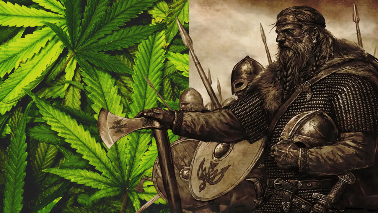 La Marihuana Desde La Historia Antigua Hasta La Actualidad Cannamedicol